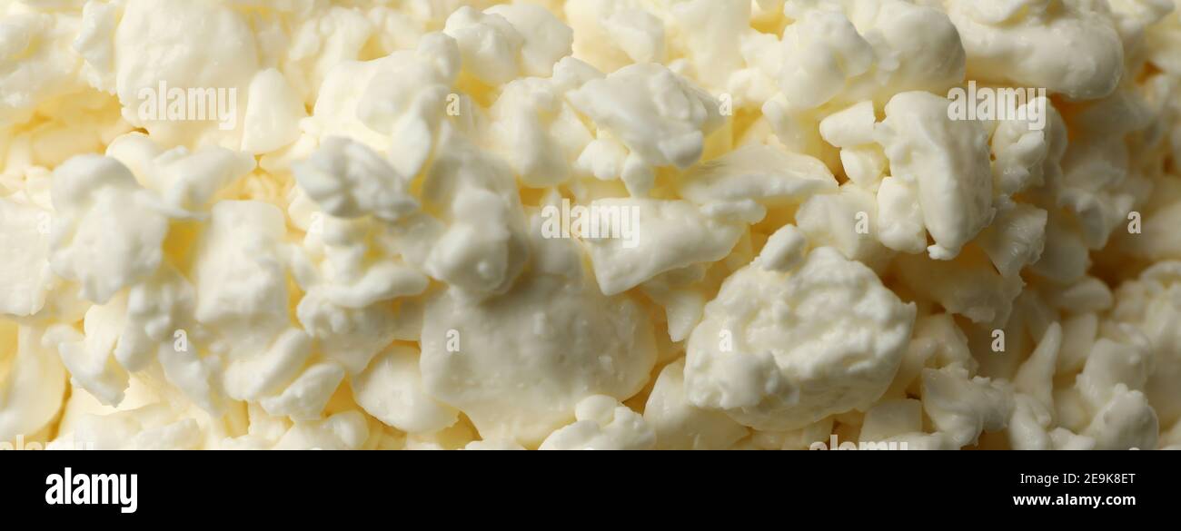 Cottage cheese texture hi-res stock photography and images - Alamy
