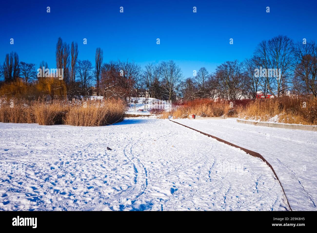 Frozen lake covered with snow in winter Stock Photo - Alamy