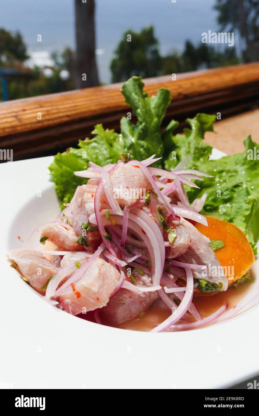 Closeup shot of a traditional Peruvian dish called ceviche made with ...