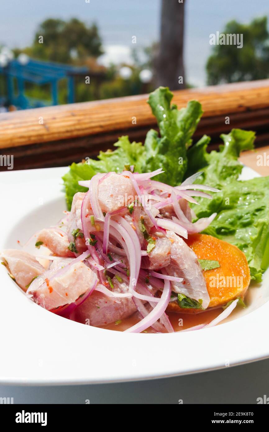 Closeup shot of a traditional Peruvian dish called ceviche made with ...