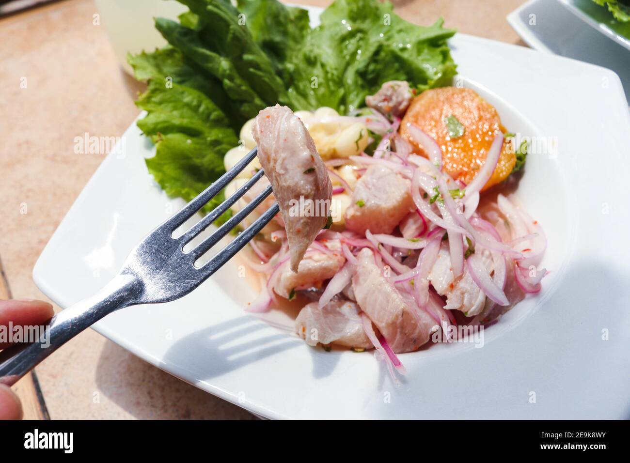 Closeup shot of a traditional Peruvian dish called ceviche made with ...