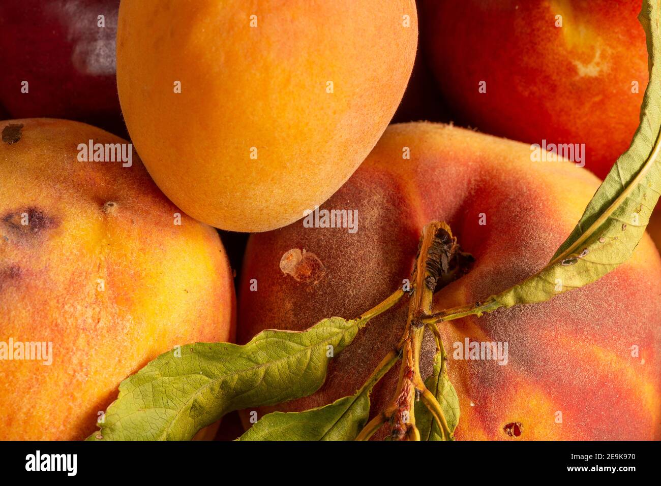 colorful summer fruit close-up Stock Photo - Alamy