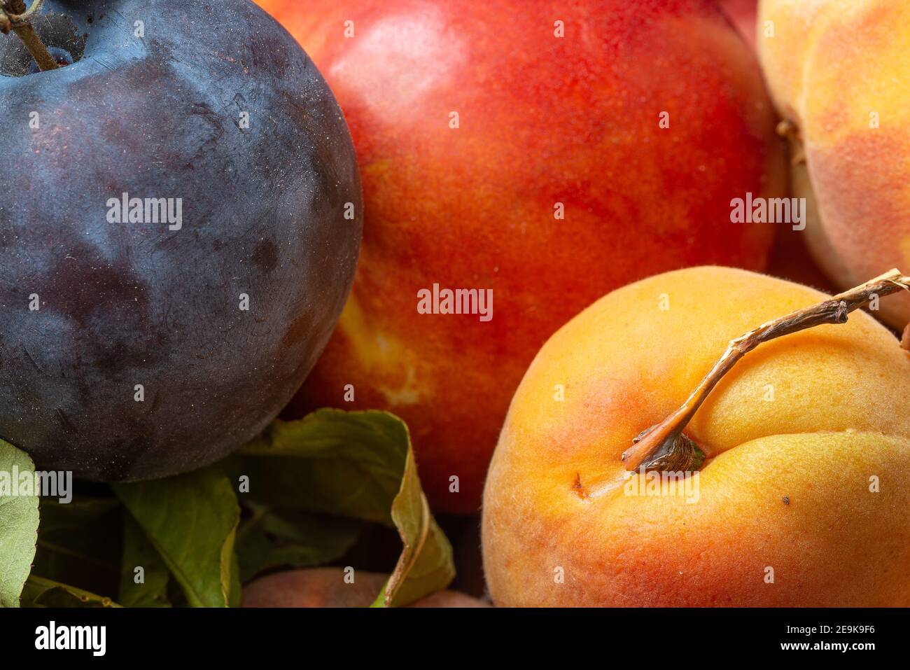 colorful summer fruit close-up Stock Photo - Alamy