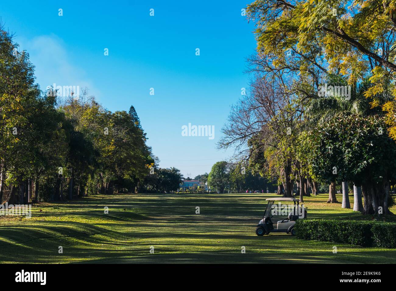 a beautiful golf course with bright green pace and a golf cart Stock ...