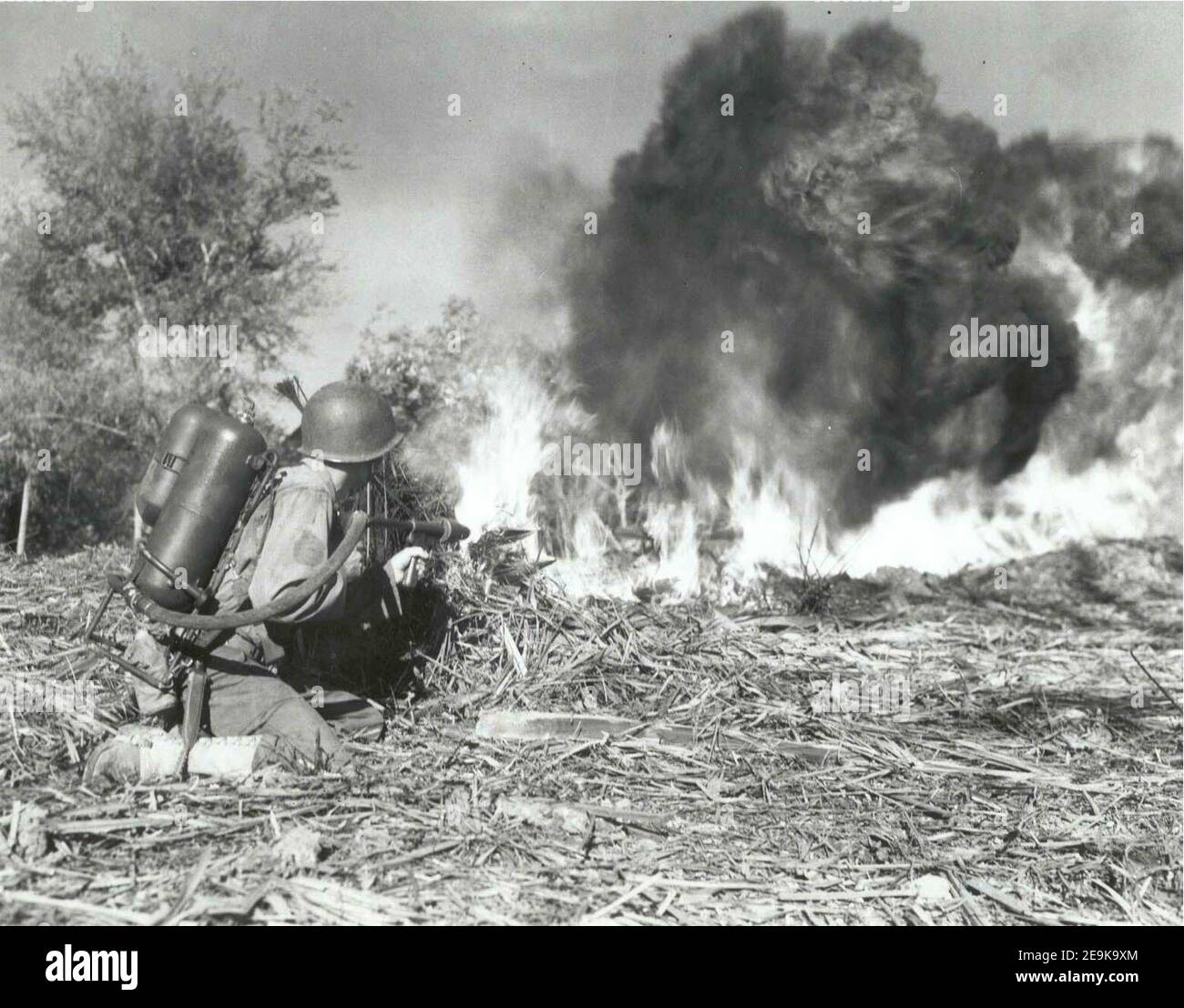 33rd infantry division hi-res stock photography and images - Alamy