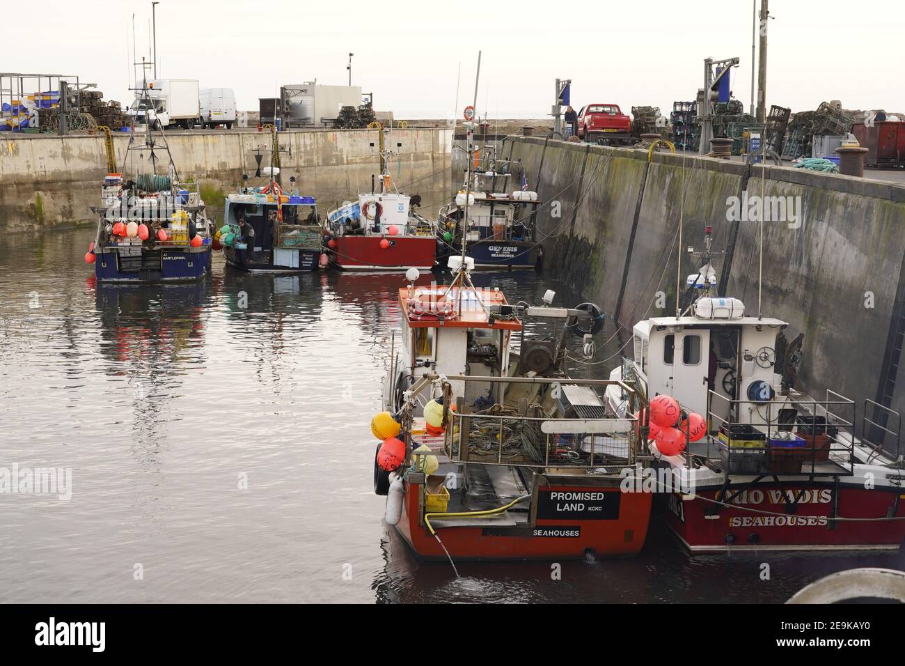 working fishing port of Seahouses in Northumberland, England Stock ...