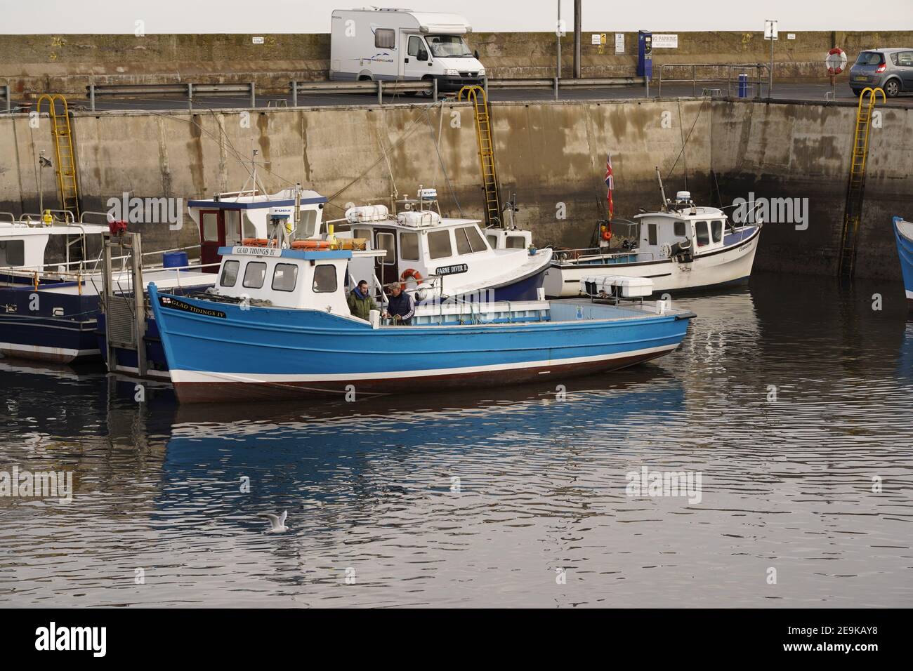working fishing port of Seahouses in Northumberland, England Stock ...
