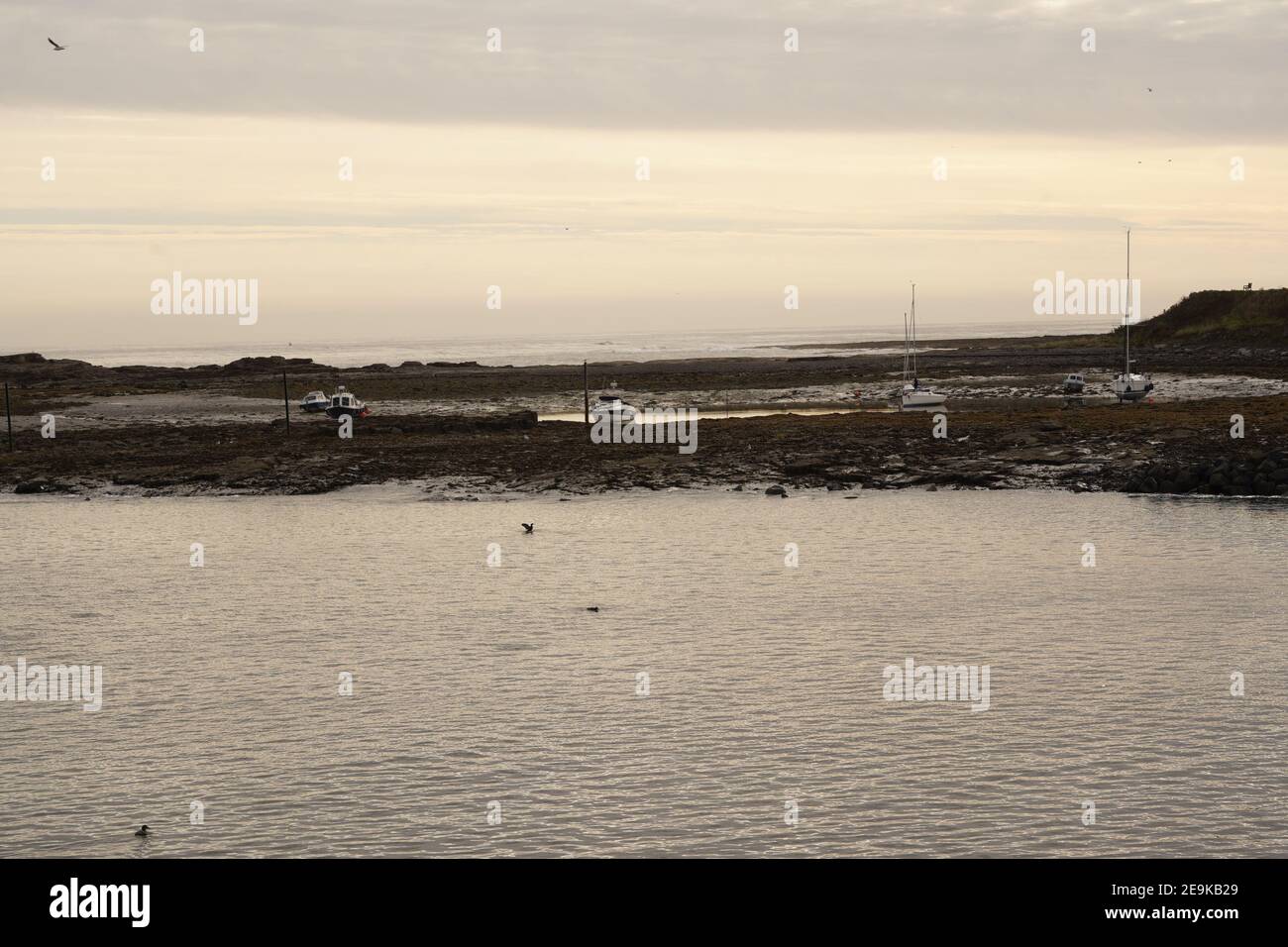 Relaxing shoreline at Seahouses in Northumberland, England Stock Photo ...