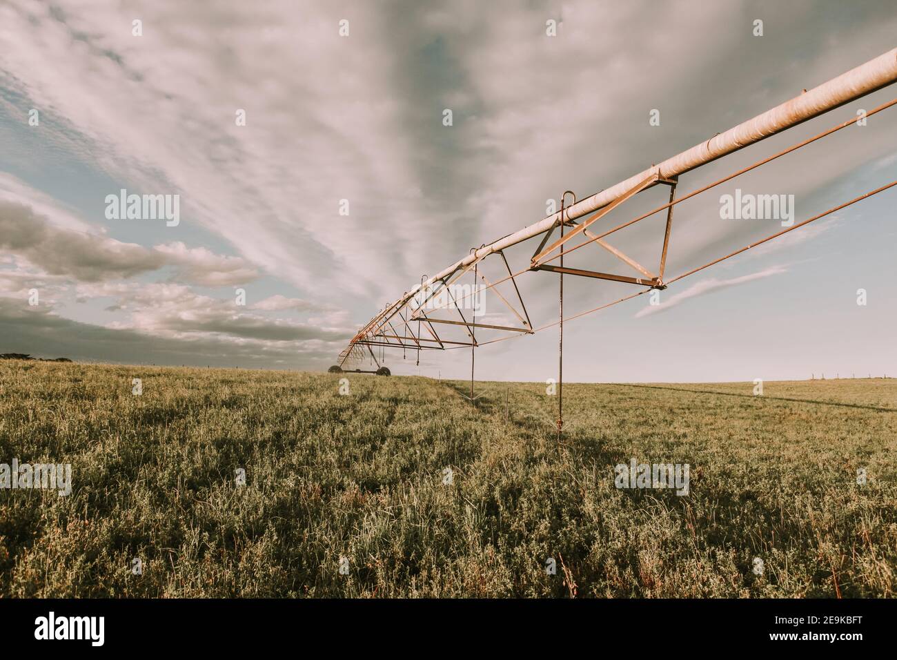 Lucerne dairy farm hi-res stock photography and images - Alamy
