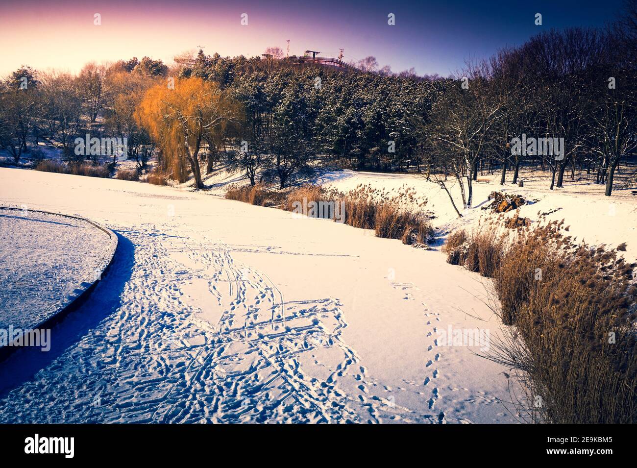 Frozen lake covered with snow in winter Stock Photo - Alamy