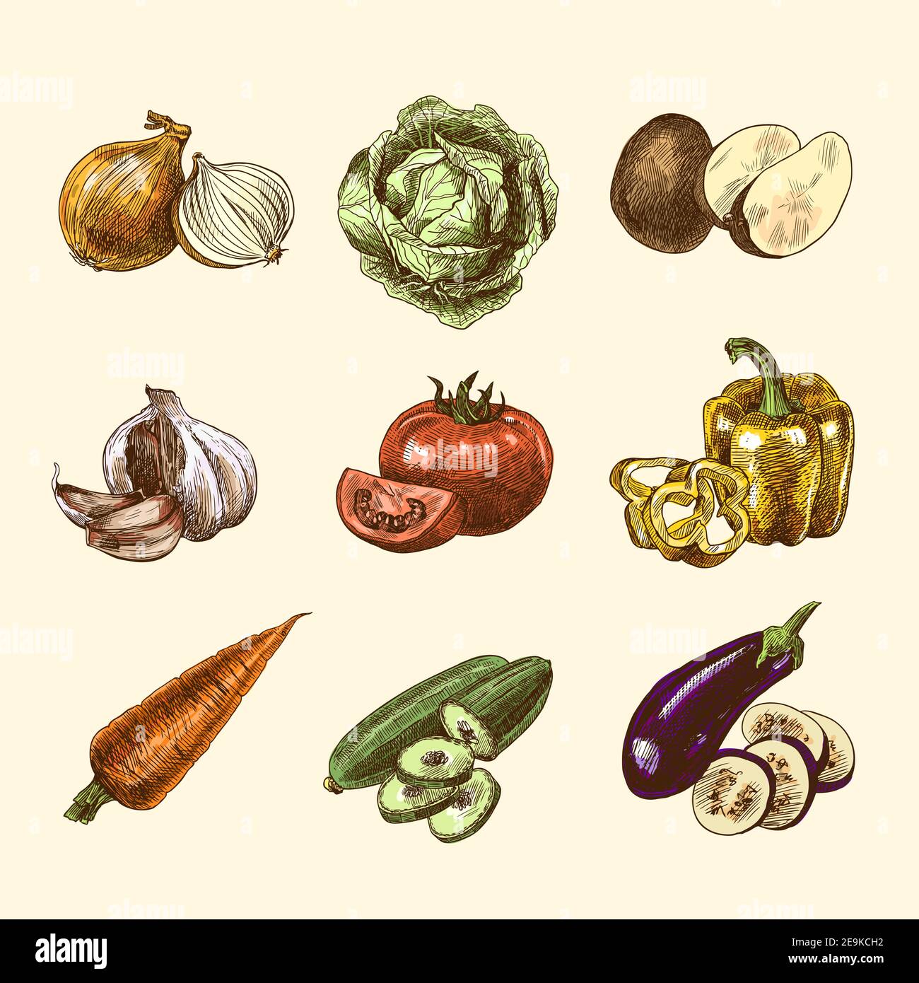 Vegetable natural organic fresh food color sketch set isolated vector ...