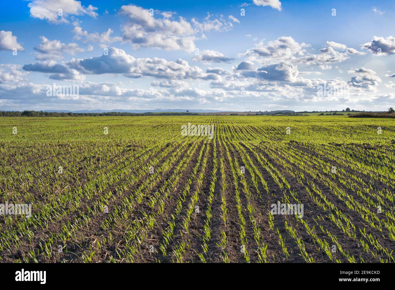 landscape with agricultural fields, farming background Stock Photo - Alamy