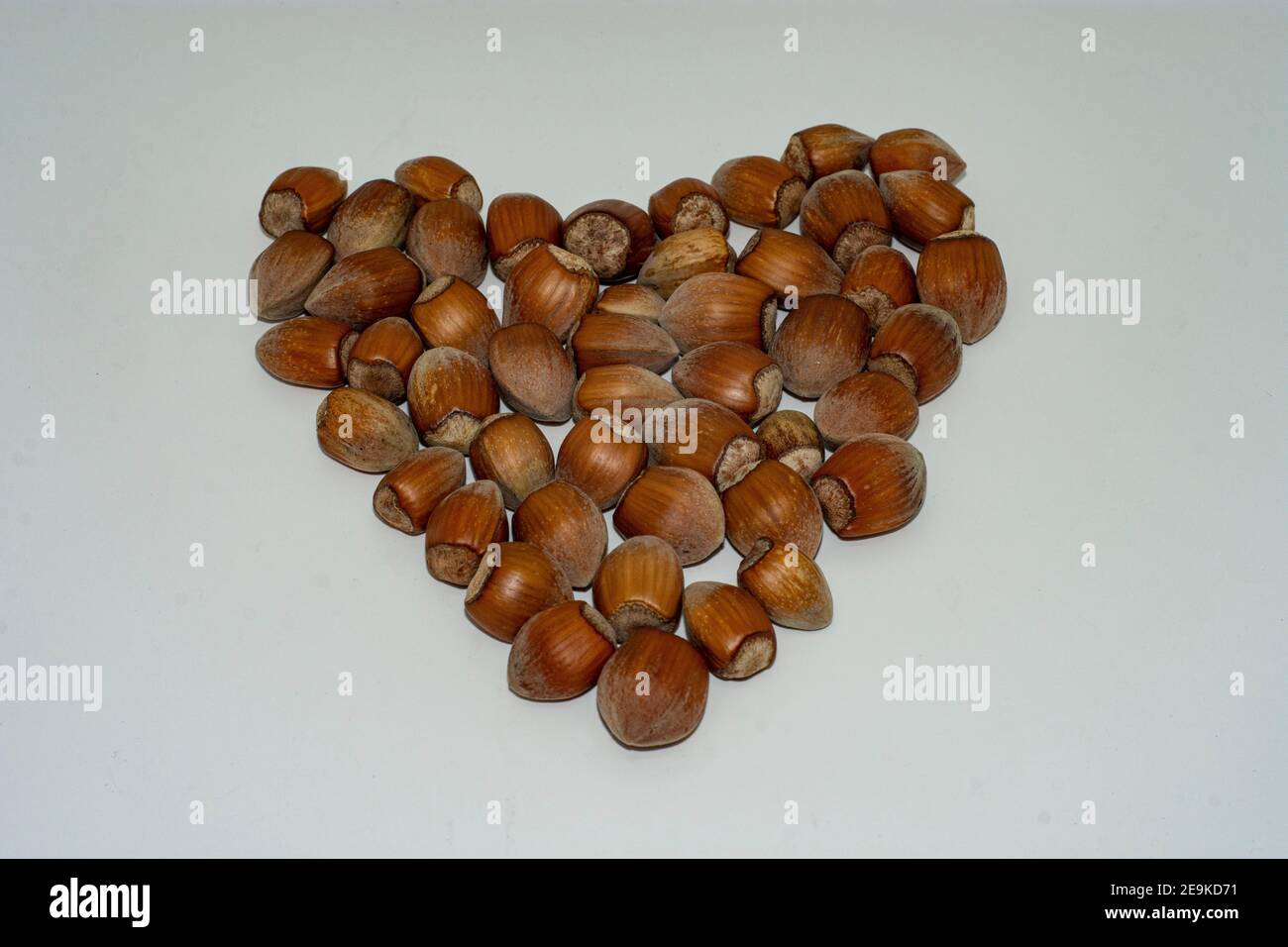 Macro shot one lovely hi-res stock photography and images - Alamy