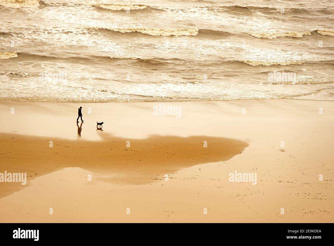 Windy wet walk along the beach with dog Stock Photo - Alamy