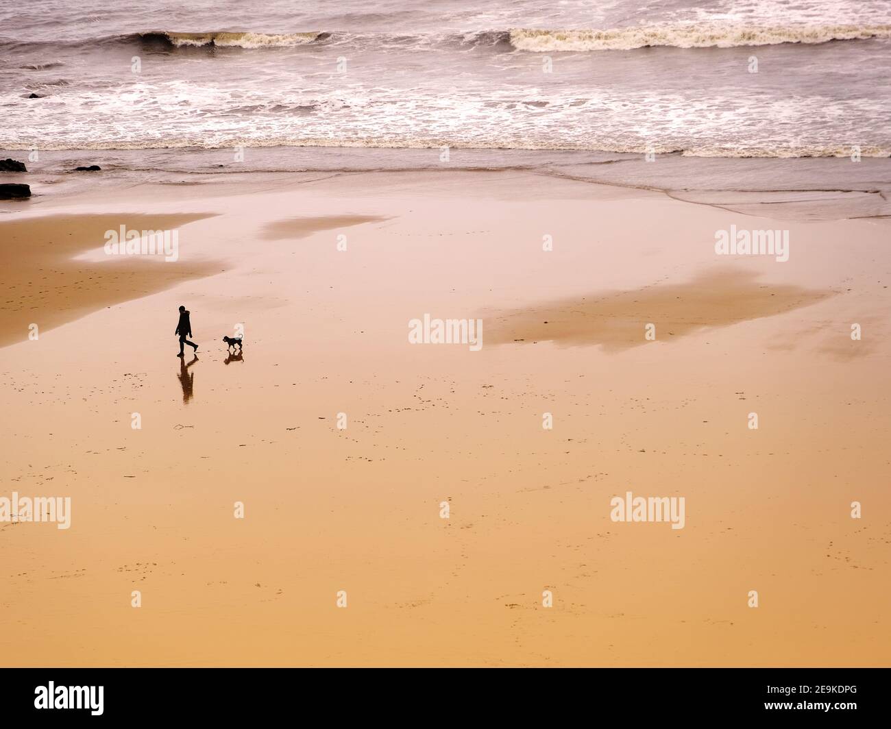 Windy wet walk along the beach with dog Stock Photo - Alamy