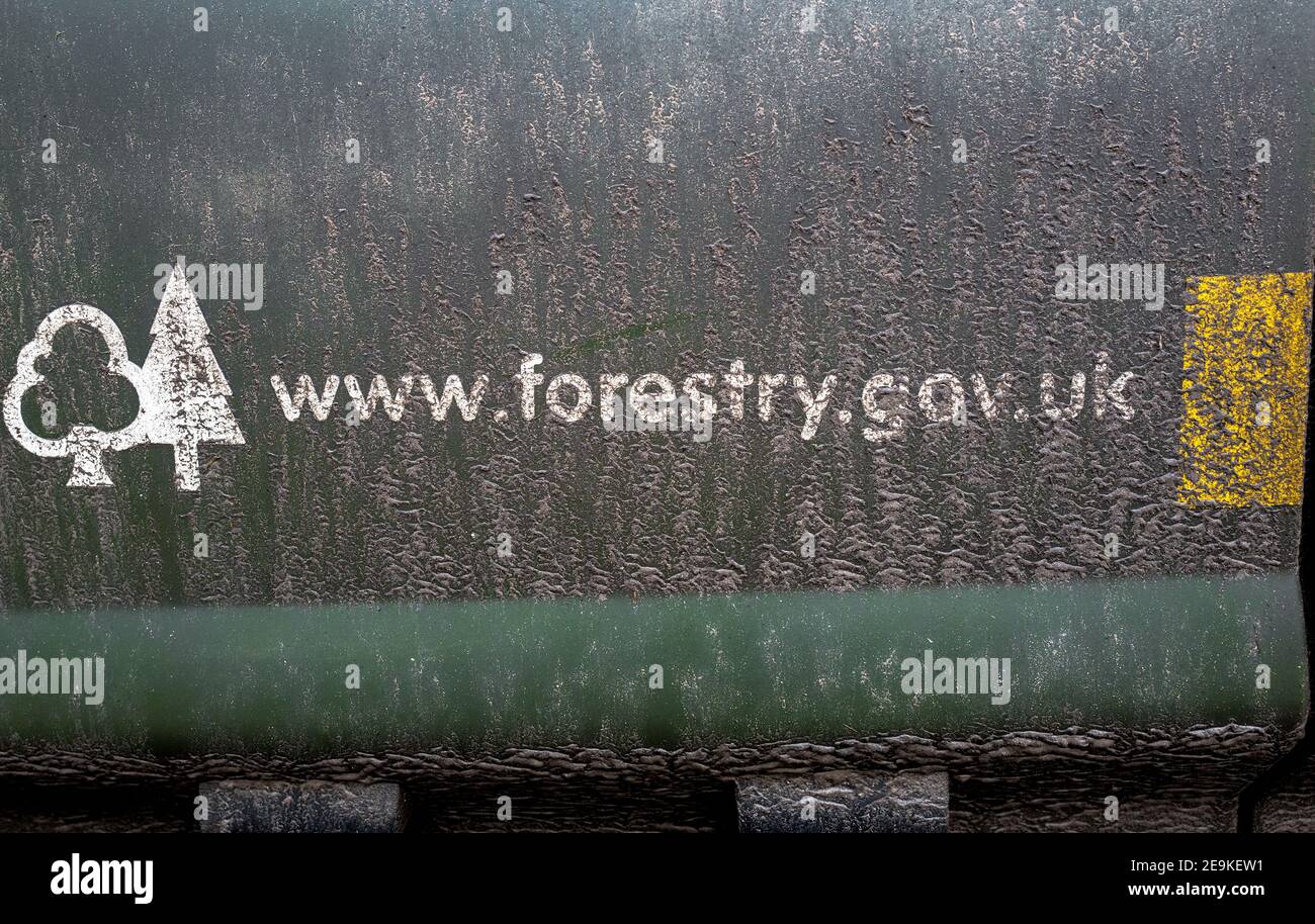 Forestry commission logo hi-res stock photography and images - Alamy