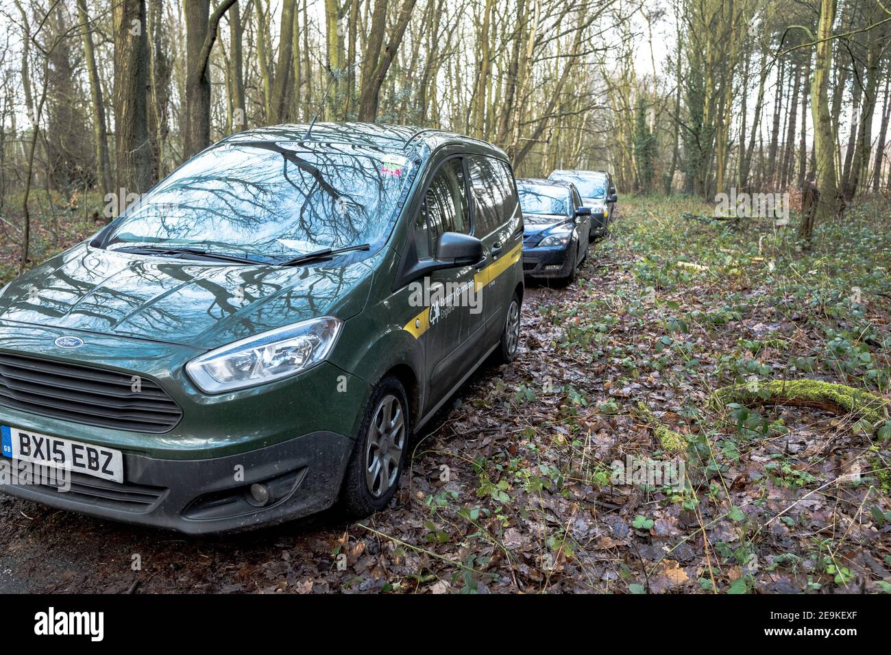 Forestry commission Ford Transit Courier van parked on a woodland track ...