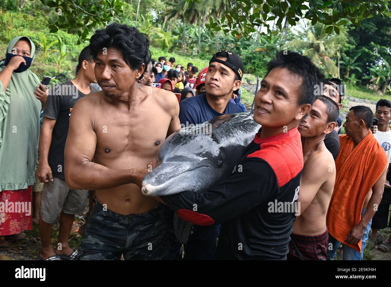 Luwu regency hi-res stock photography and images - Alamy