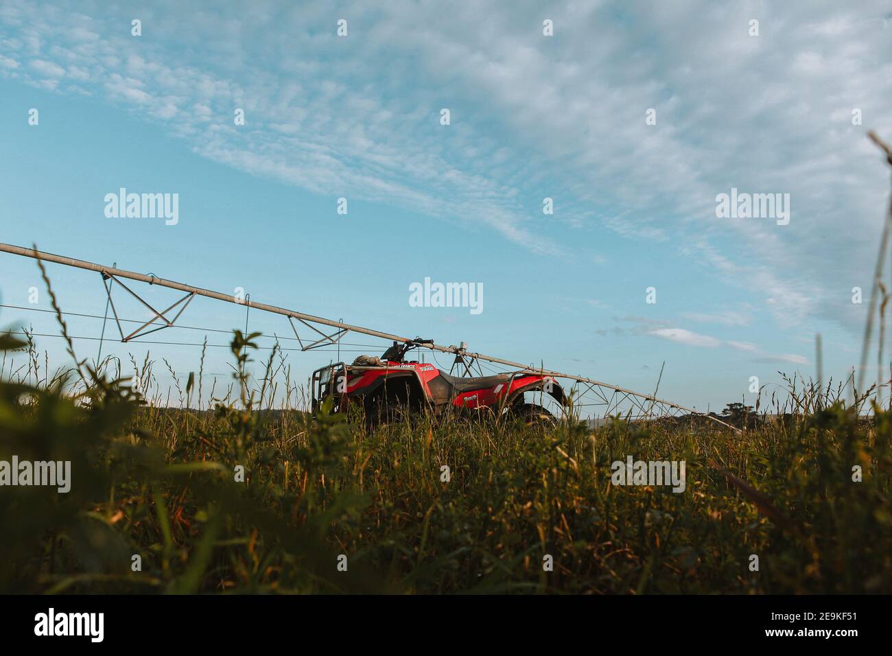 Centre pivot water irrigation of lucerne grass on a dairy farm. Dairy ...