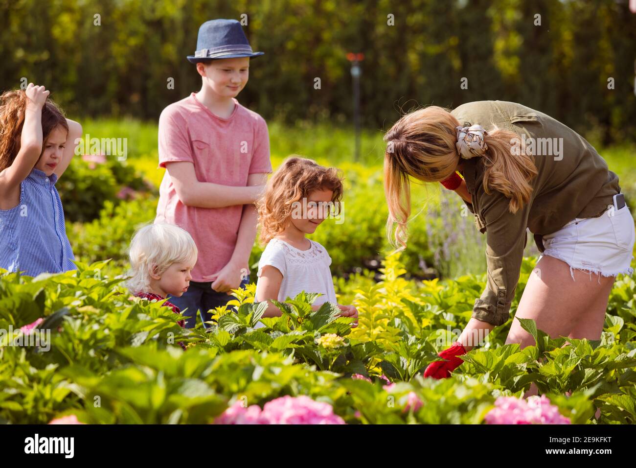 Group of kids at the excursion at the flower garden Stock Photo - Alamy