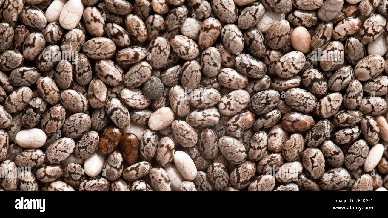 Chia seeds, texture, valuable food, source of omega 3 acids and ...