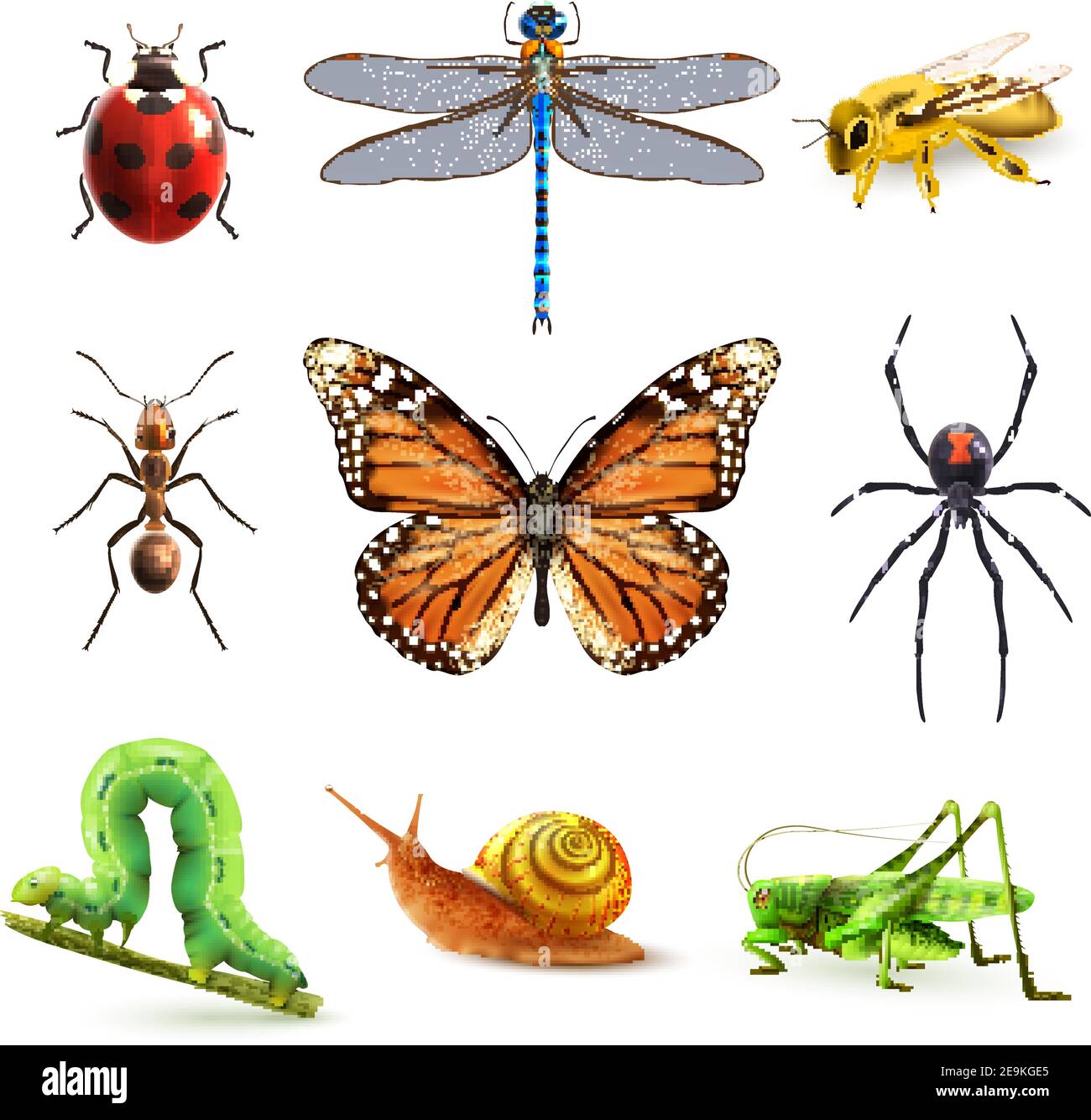 Insects realistic colored decorative icons set with ladybug snail wasp ...