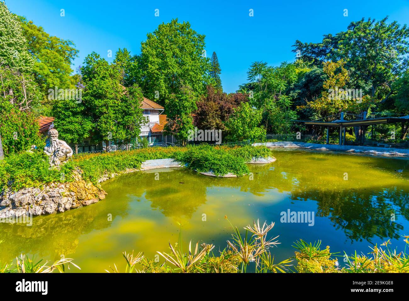 Jardim da estrela hi-res stock photography and images - Alamy