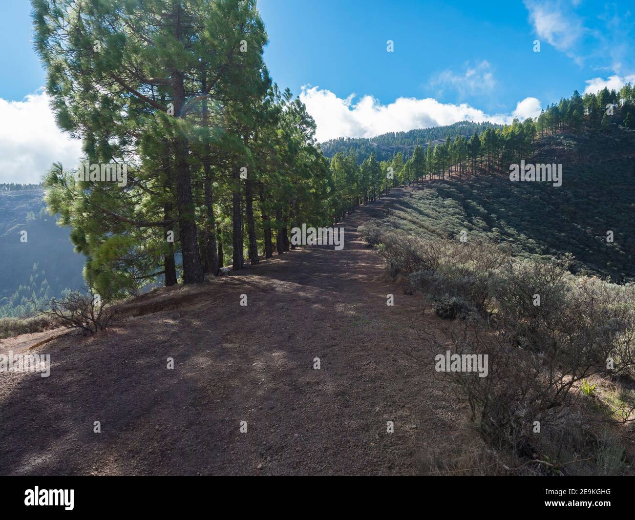 Hiking path at nature reserve Caldera de Los Marteles, volcanic crater ...