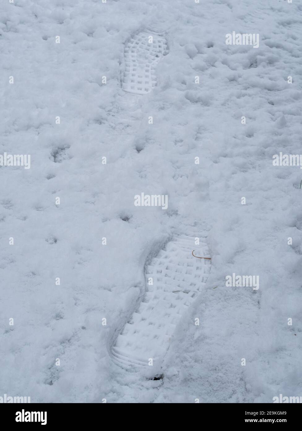 fresh footprints in the snow Stock Photo - Alamy