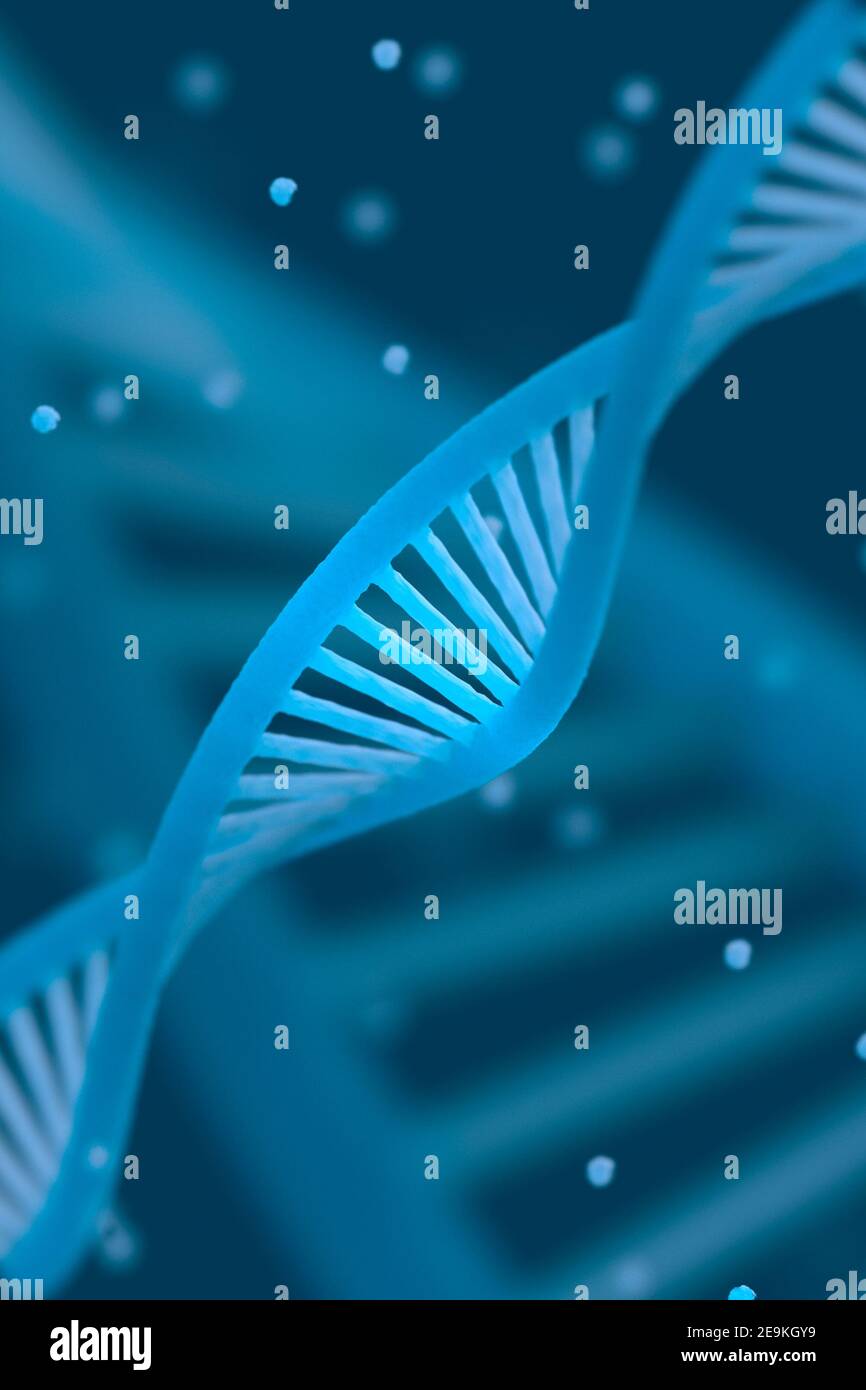 DNA chain macroshot Stock Photo - Alamy