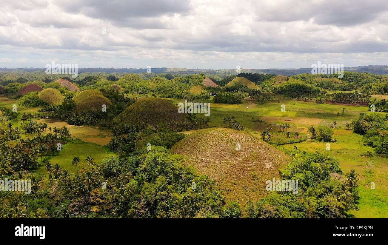 Chocolate Hills - one of the main attractions of the island of Bohol ...