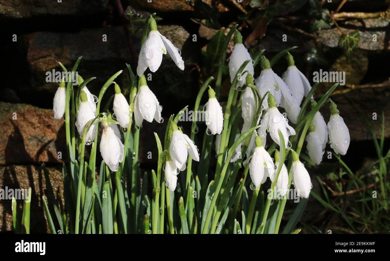 Welcome sign garden flowers flower hi-res stock photography and images ...