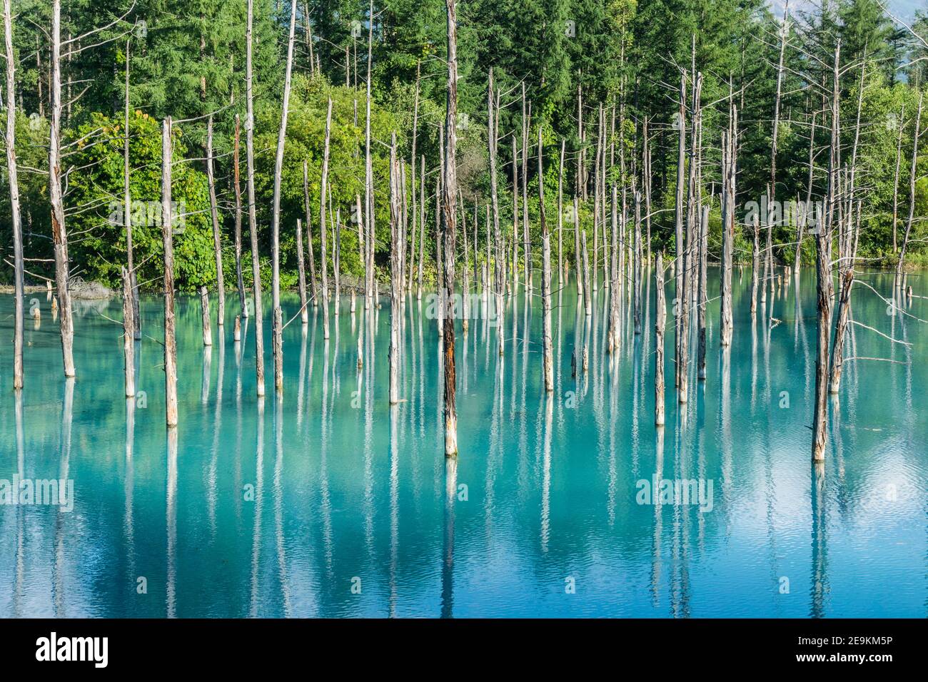 Biei hokkaido blue pond hi-res stock photography and images - Alamy