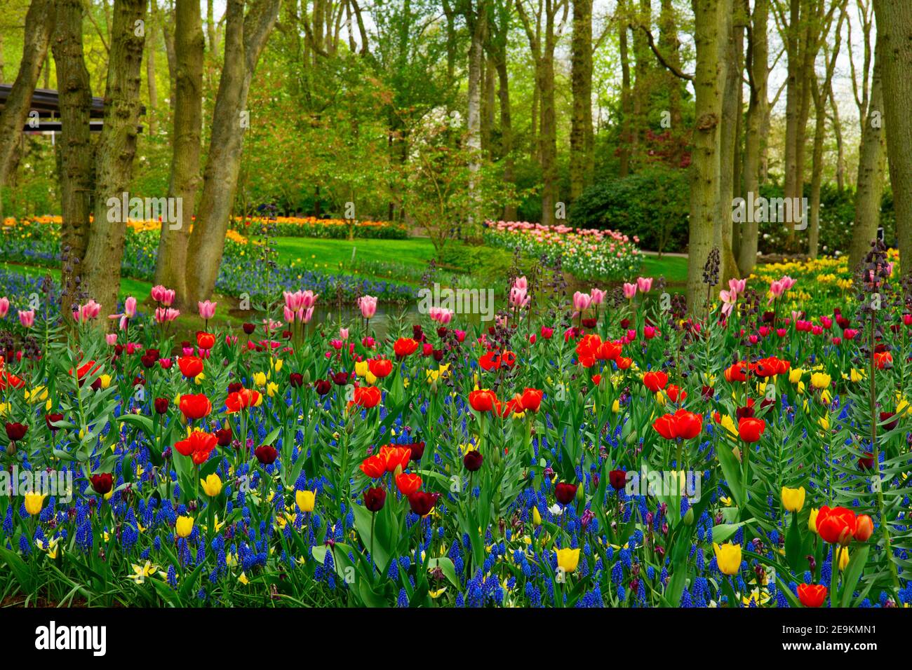 Spring pond lane hi-res stock photography and images - Alamy