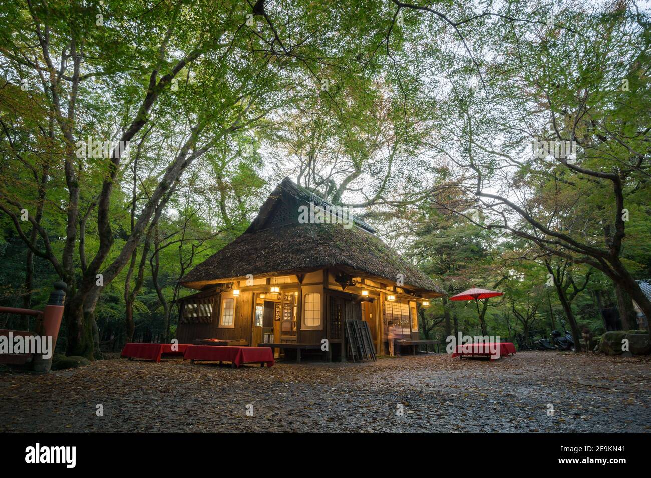 The old, traditional Mizuya Chaya Tea House, in the forest near Kasuga ...