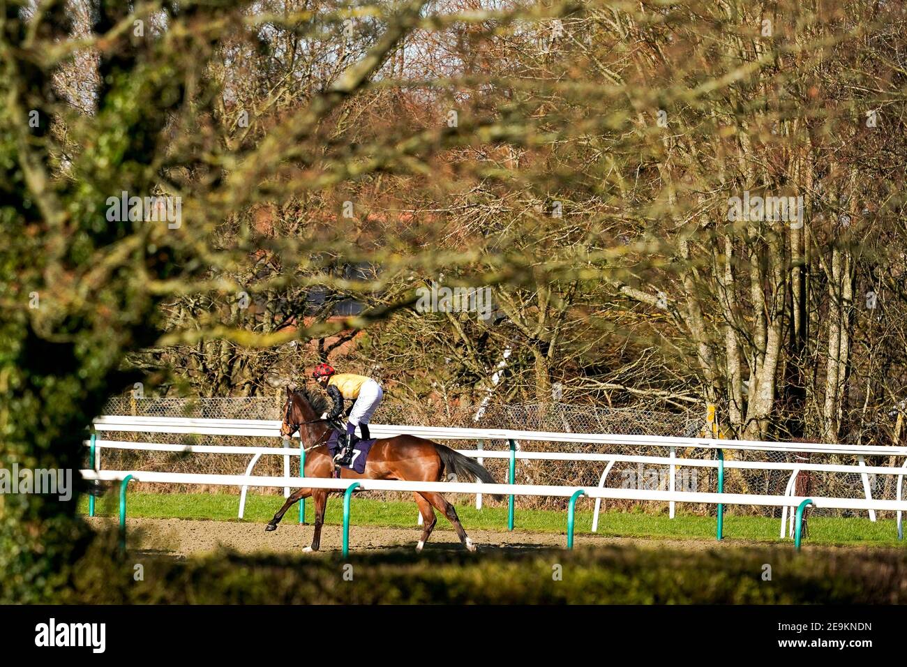 Jockey david probert going hi-res stock photography and images - Alamy