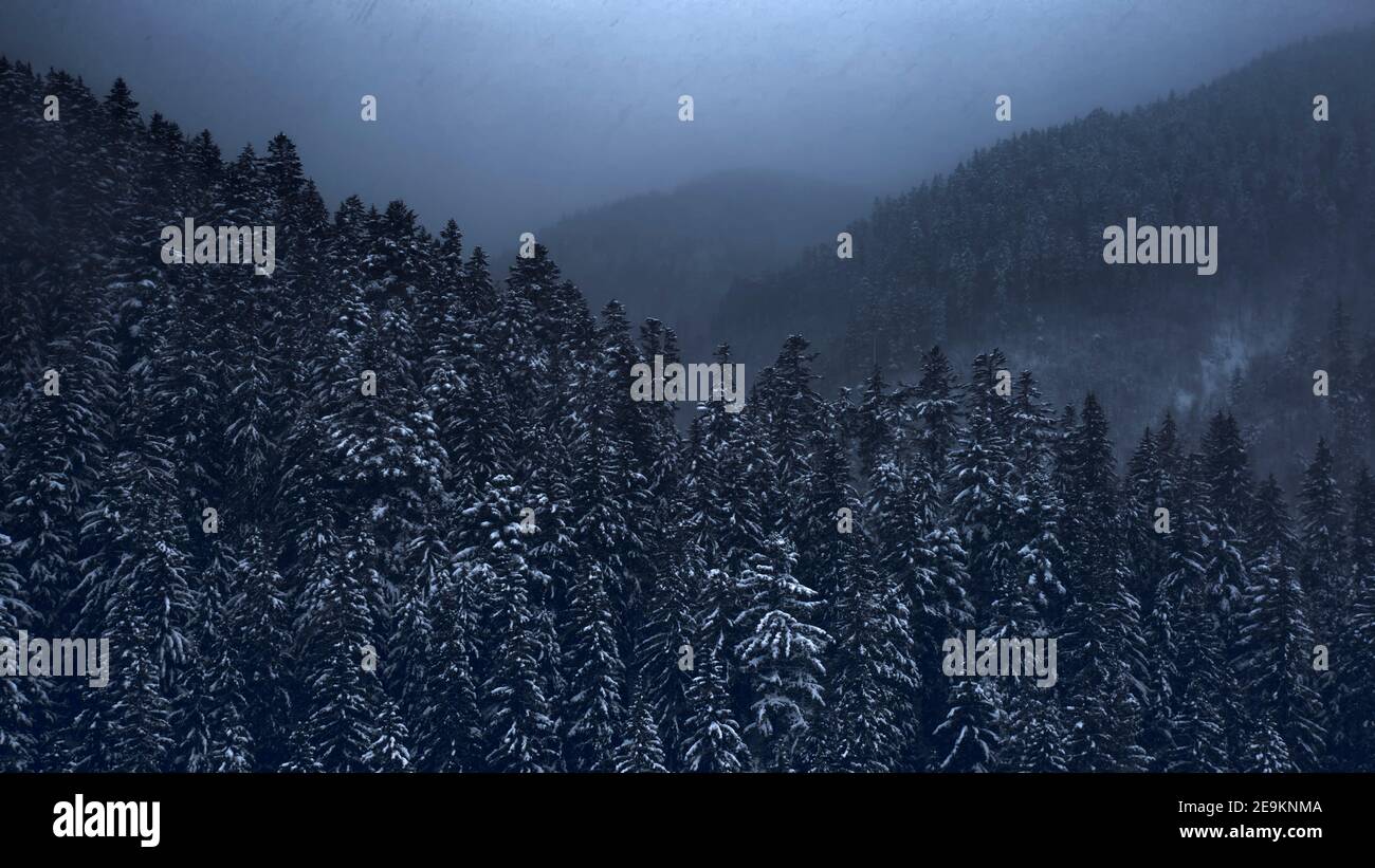 Heavy blizzard over the mountain forest. View from the drone Stock ...