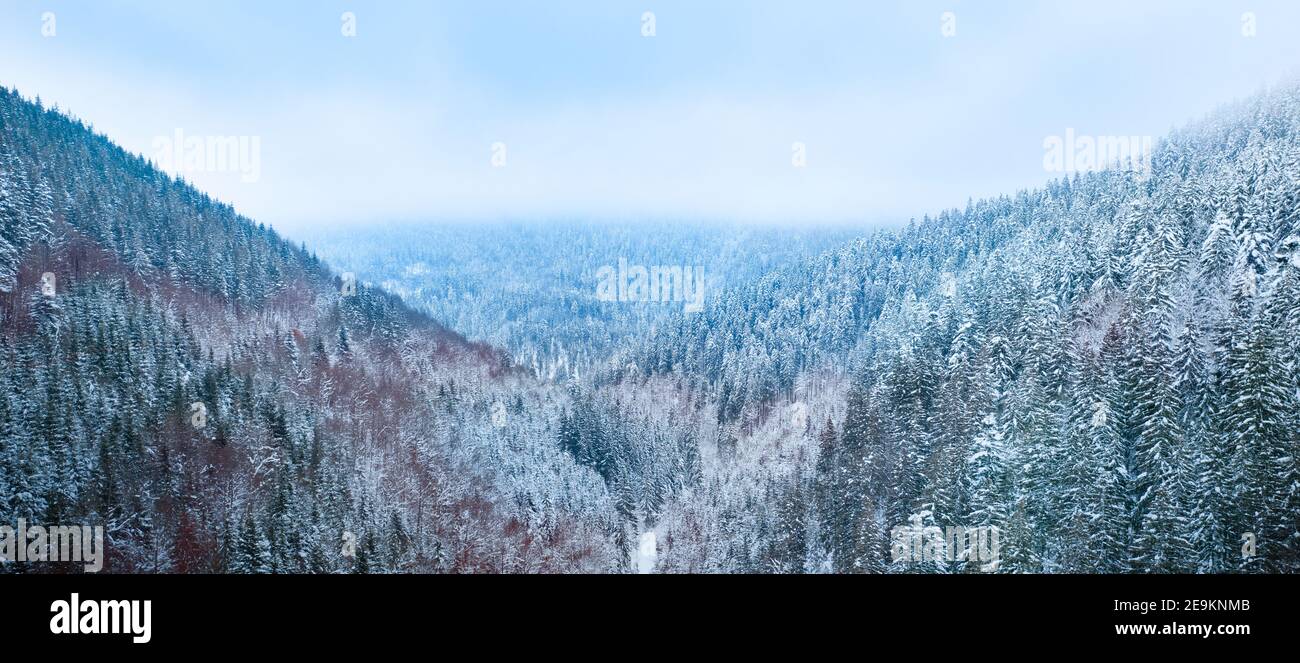 Heavy blizzard over the mountain forest. View from the drone Stock ...