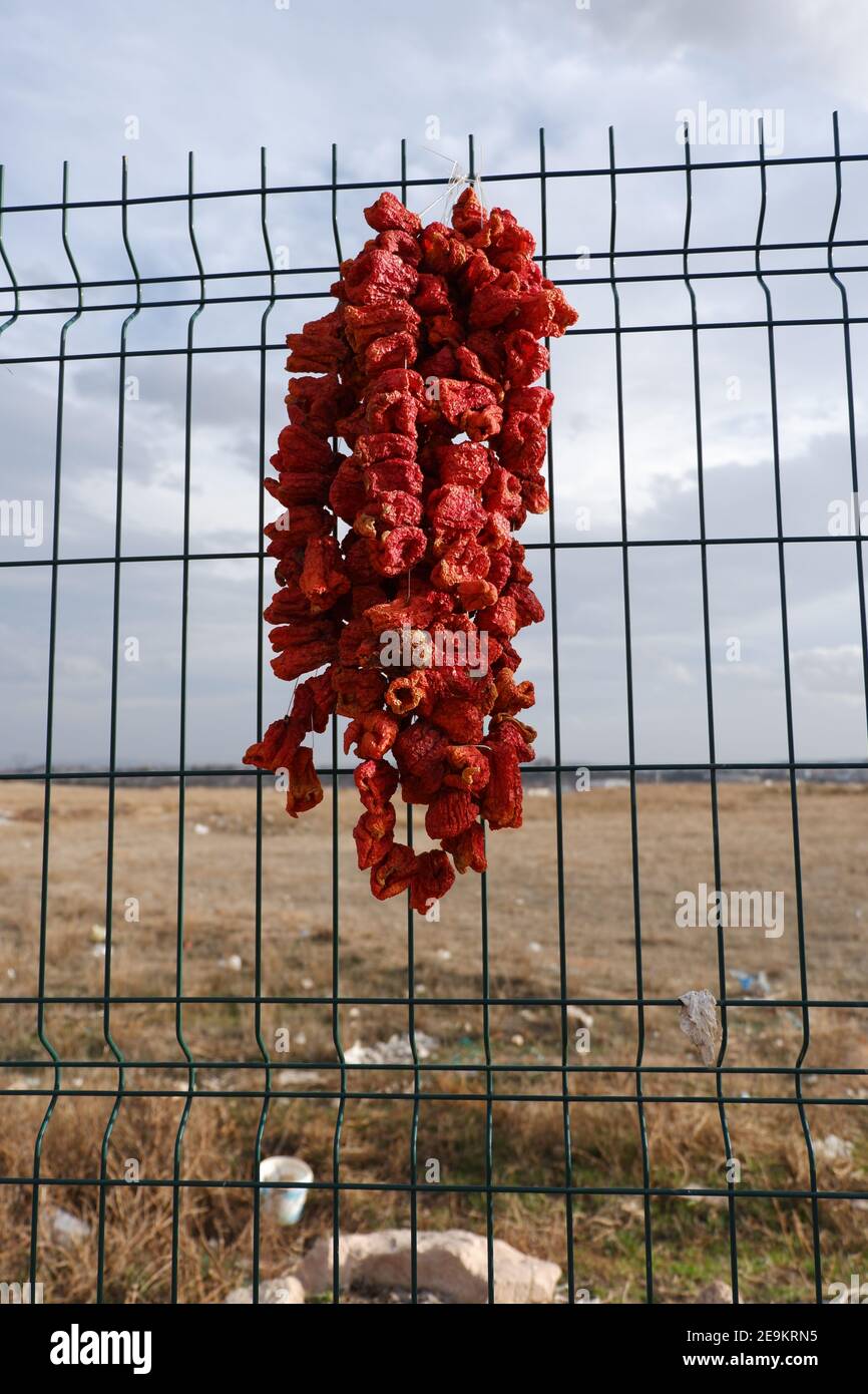 Dried Peppers Hanged Outside Stock Photo - Alamy