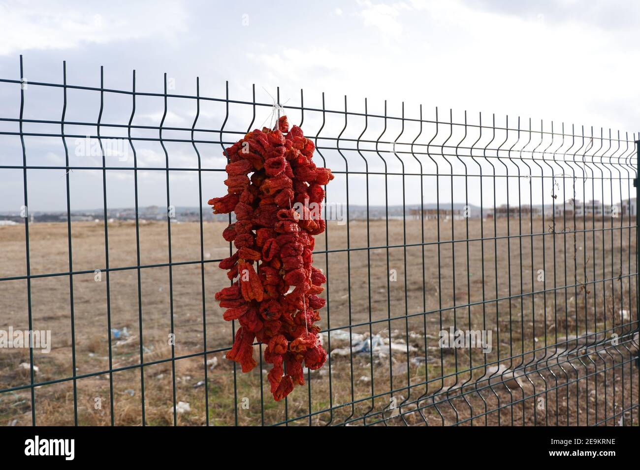 Dried Peppers Hanged Outside Stock Photo - Alamy