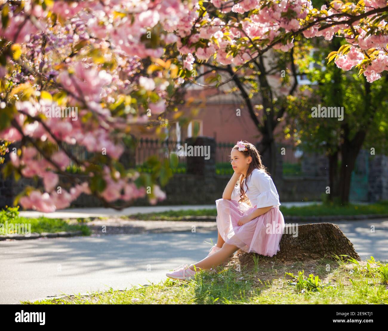 the girl is standing under the pink tree that bloom Stock Photo - Alamy