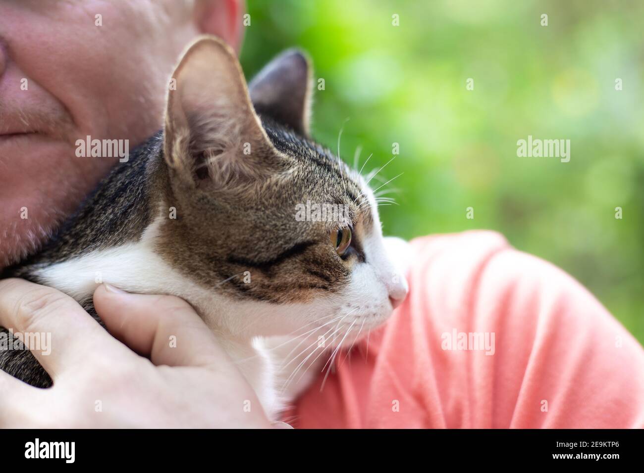 Man holding cat in arms hi-res stock photography and images - Alamy