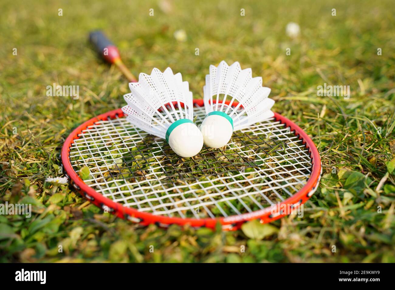 Badminton court training hi-res stock photography and images - Alamy