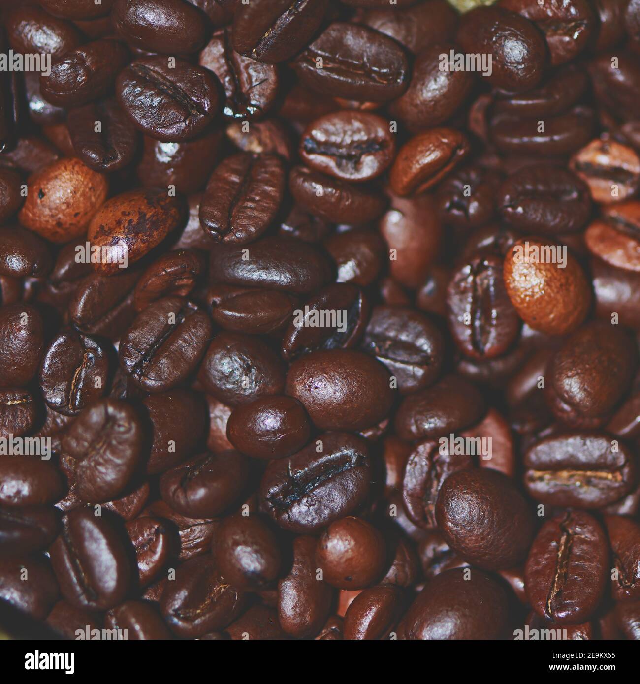 Detail of coffee beans. Square format image Stock Photo - Alamy