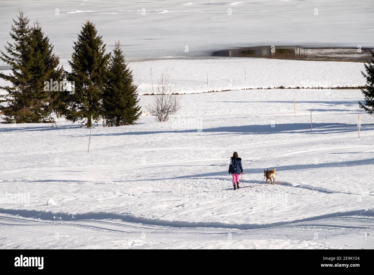 Spitzingsee, Germany. 05th Feb, 2021. A woman walks with her dog in ...