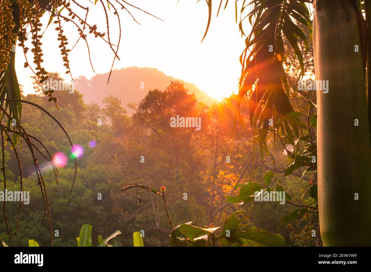 bright dawn in the jungle, rainforests and mountains lit by the sun ...