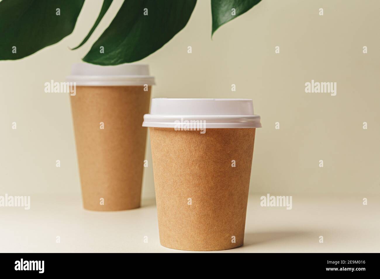 Disposable paper coffee cup and green leaf Stock Photo - Alamy
