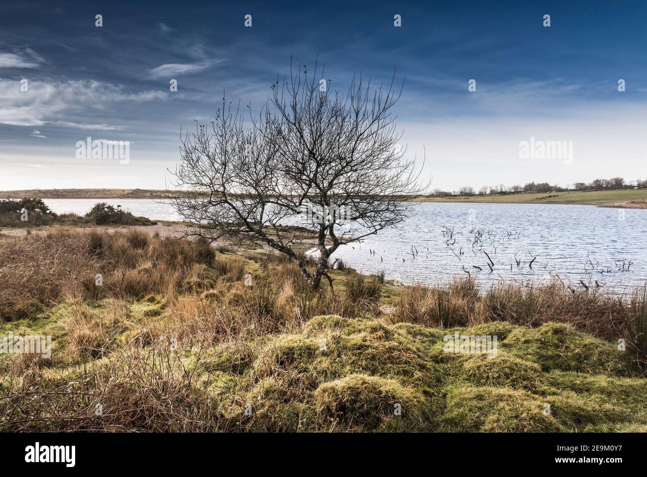 Late afternoon winter sunlight over Colliford Lake on Bodmin Moor in ...