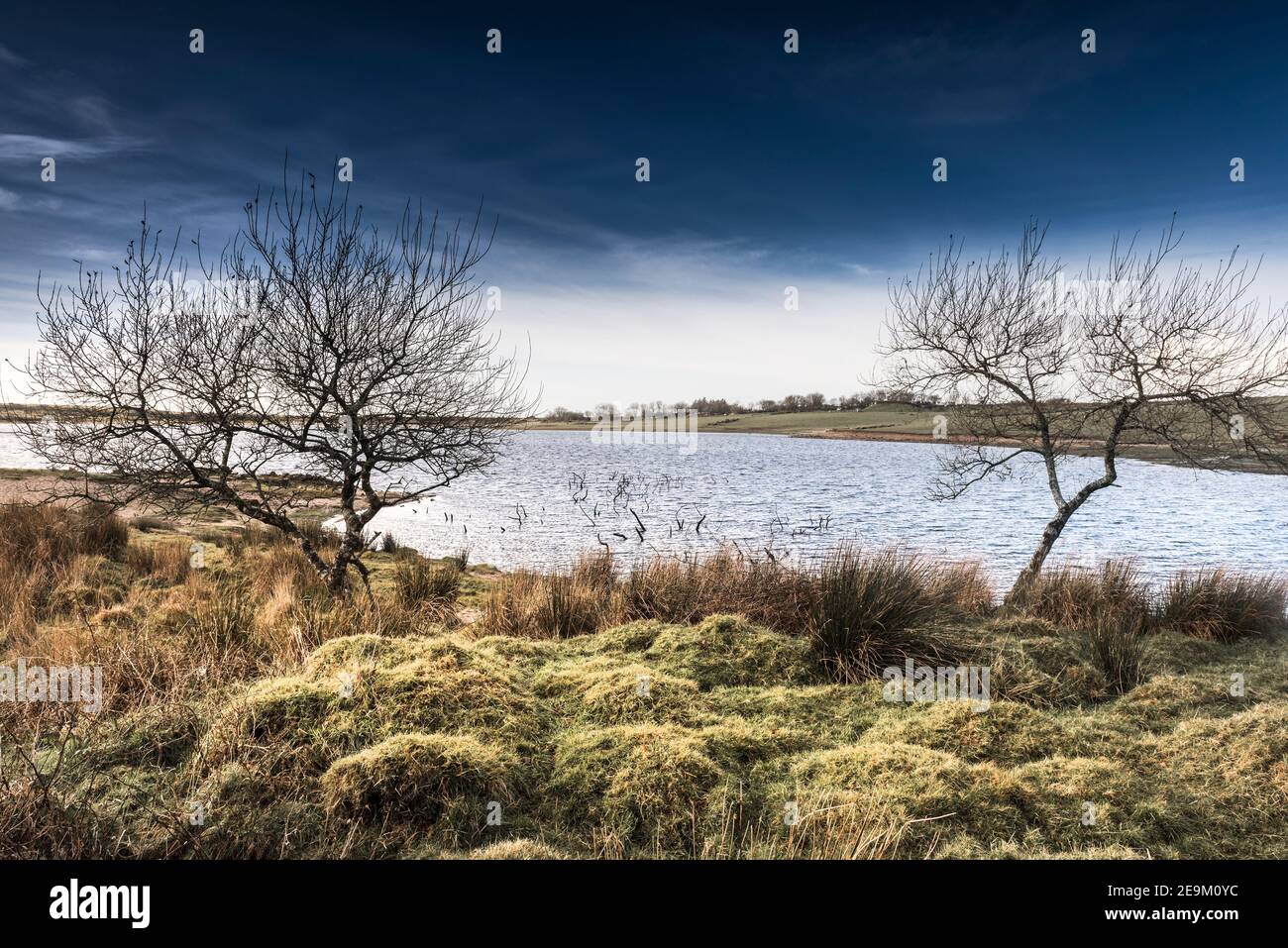 Late afternoon winter sunlight over Colliford Lake on Bodmin Moor in ...