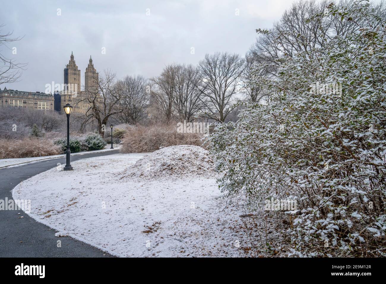 Central Park in winter after snow storm Stock Photo - Alamy